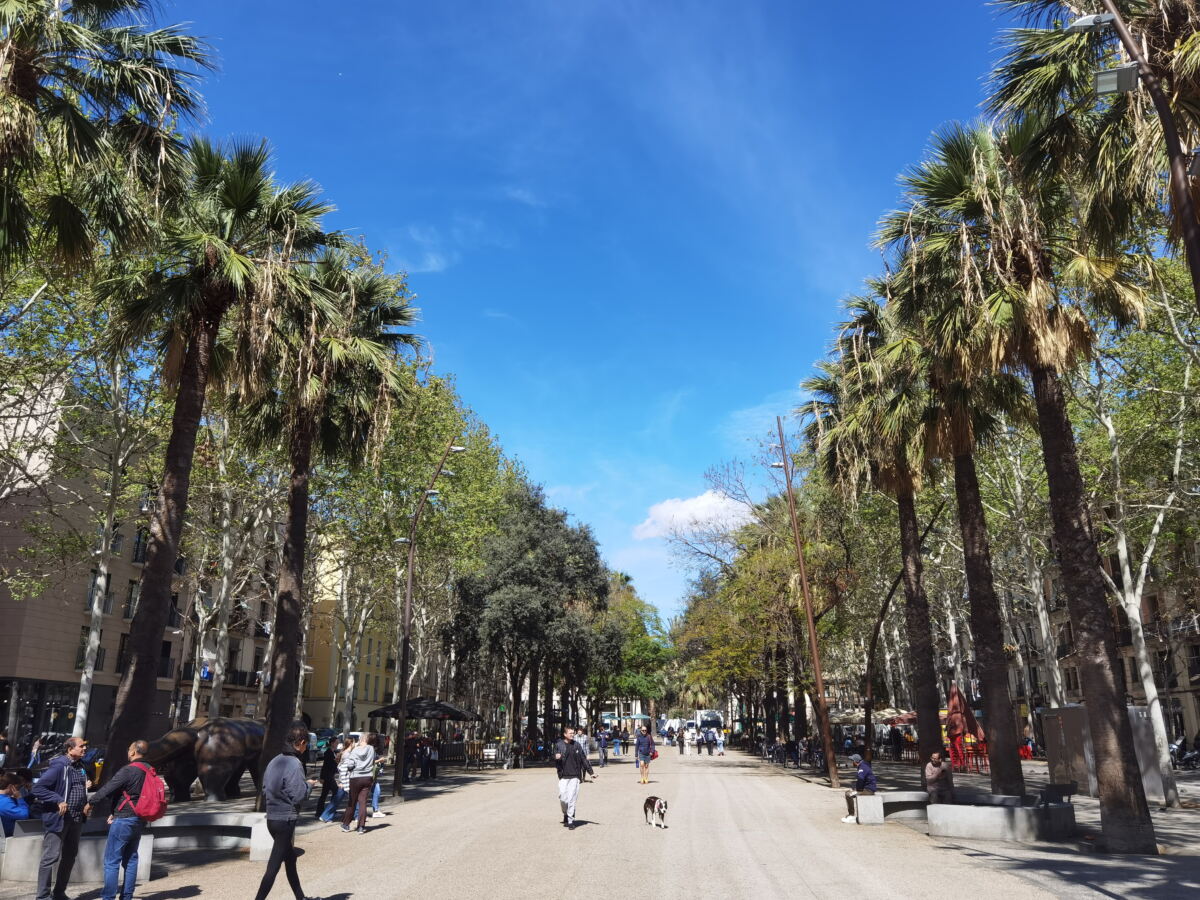 RAMBLA DEL RAVAL ⭐ Die geheimste Rambla Barcelona!